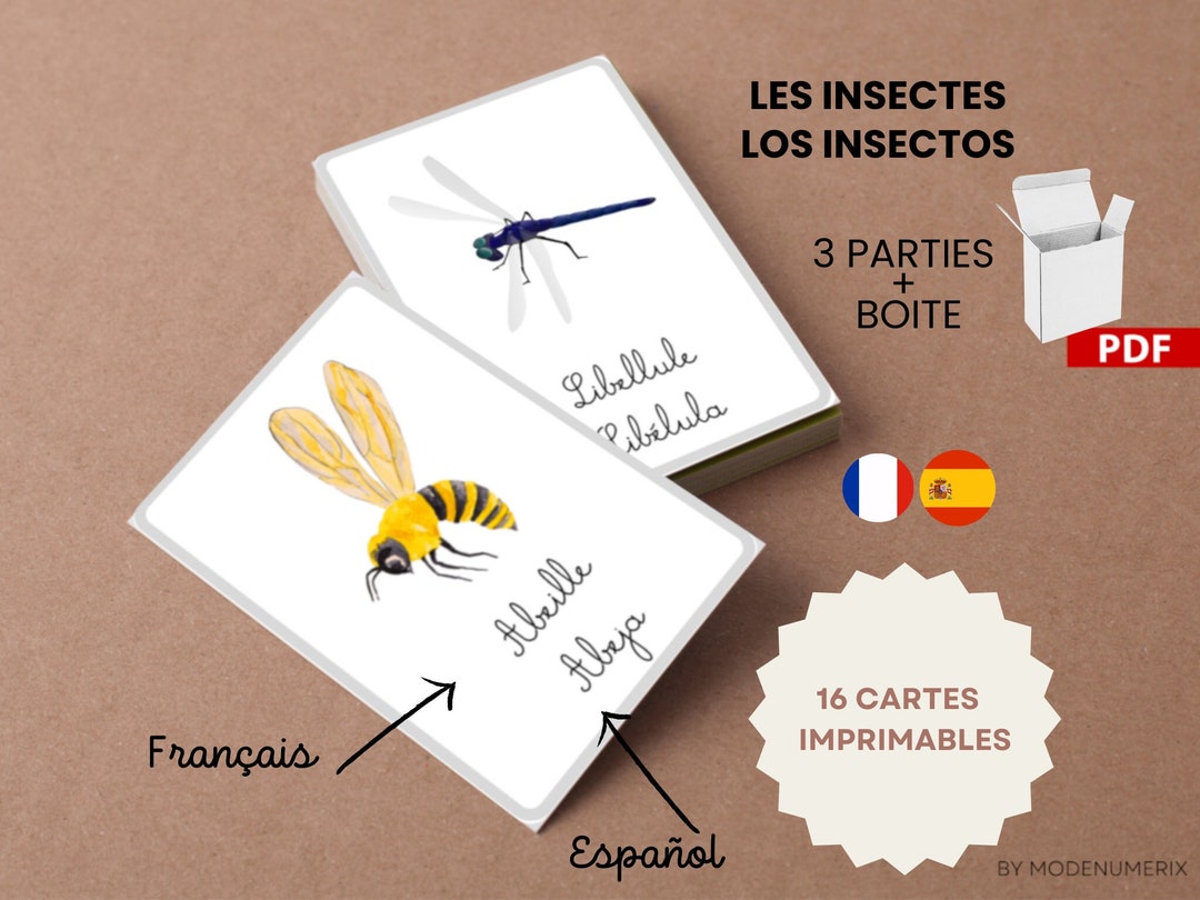 Montessori Cards INSECTS Flashcards French Spanish Bilingual - Etsy