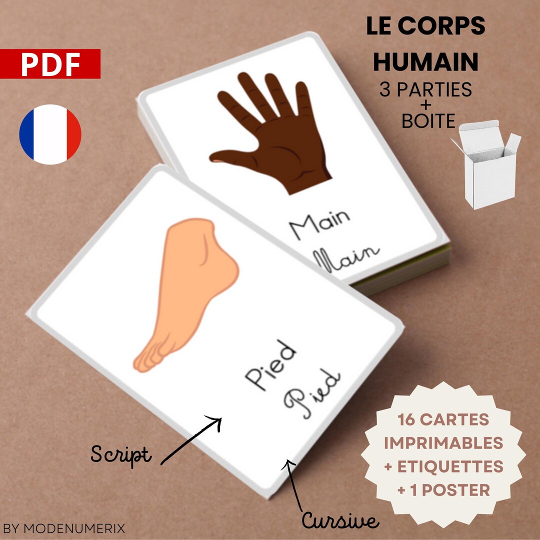 CORPS HUMAIN flashcard - Apprend à lire en français - 16 cartes ...