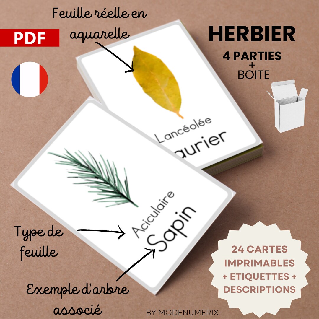 Herbarium Montessori 24 Nomenclature Cards LEAVES of Plants and Trees ...