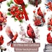 Red Cardinal Clipart PNG Cardinal Bird Boho Flower Red Cardinal ...