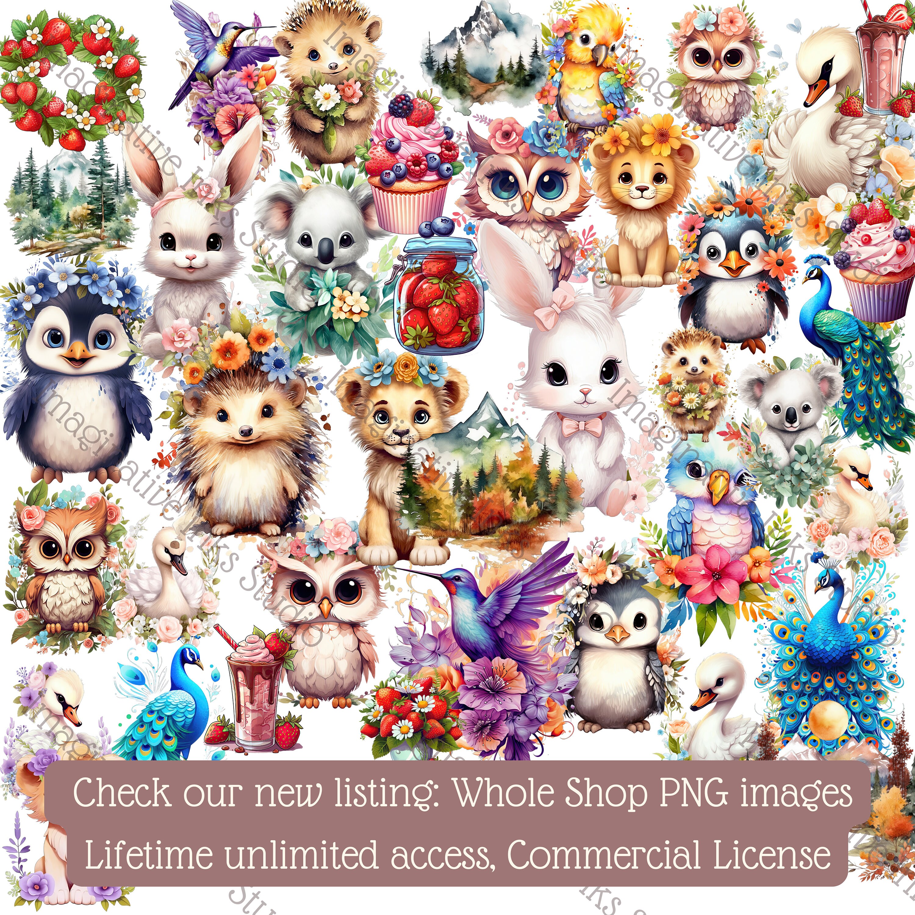 Red Cardinal Clipart PNG Cardinal Bird Boho Flower Red Cardinal ...