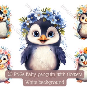 Baby Penguin Clipart PNG Penguin Boho Flower Bird Wall Art Cute Penguin ...
