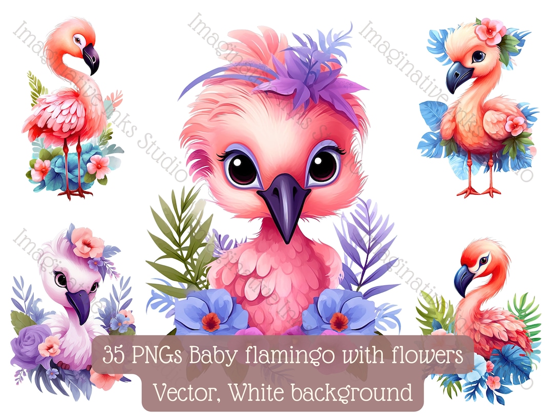 Baby Flamingo Clipart PNG Flamingo Boho Flower Bird Wallart Cute ...