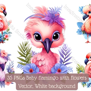 Baby Flamingo Clipart PNG Flamingo Boho Flower Bird Wallart Cute ...