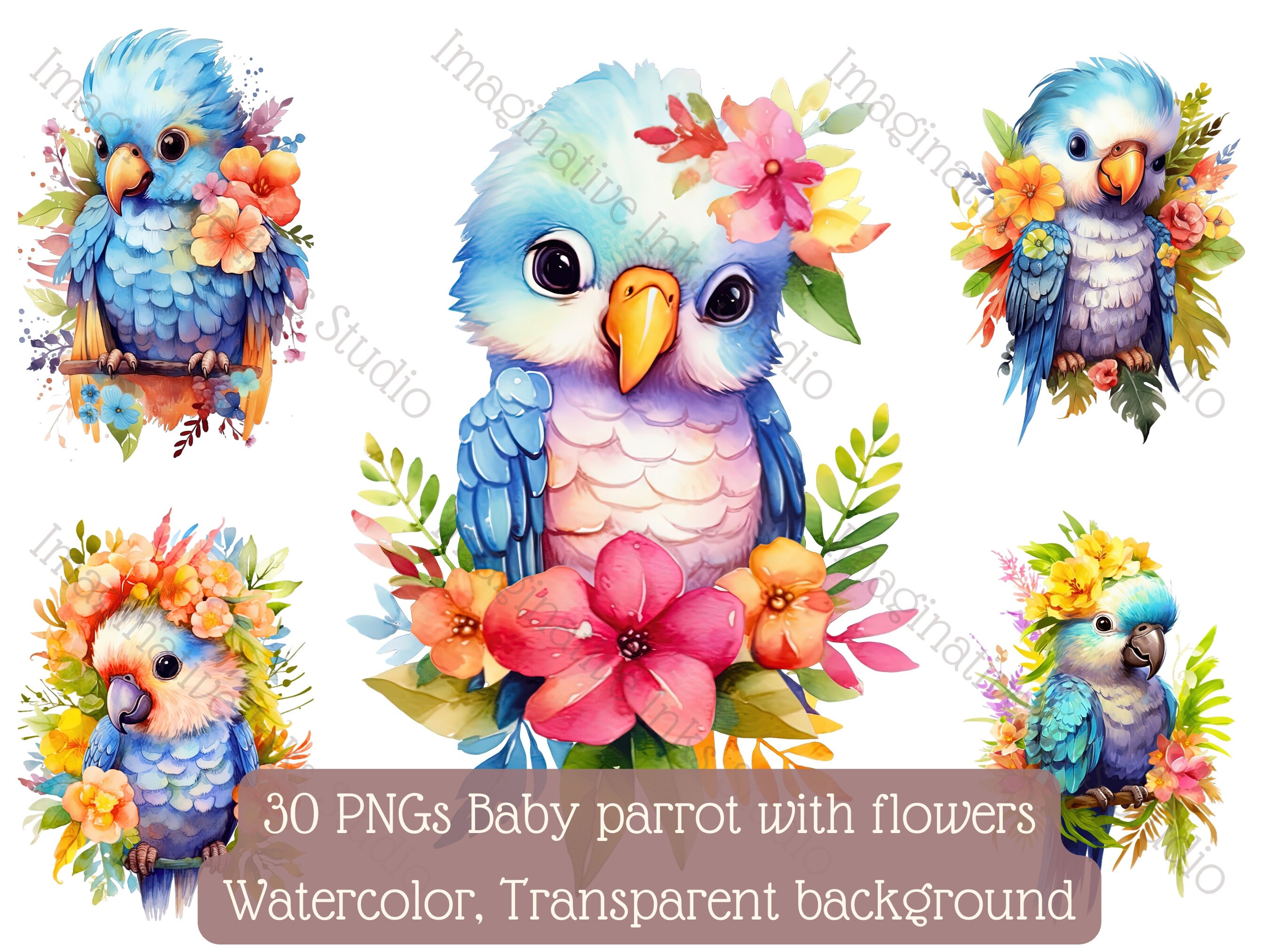 Cute Parrot Clip Art