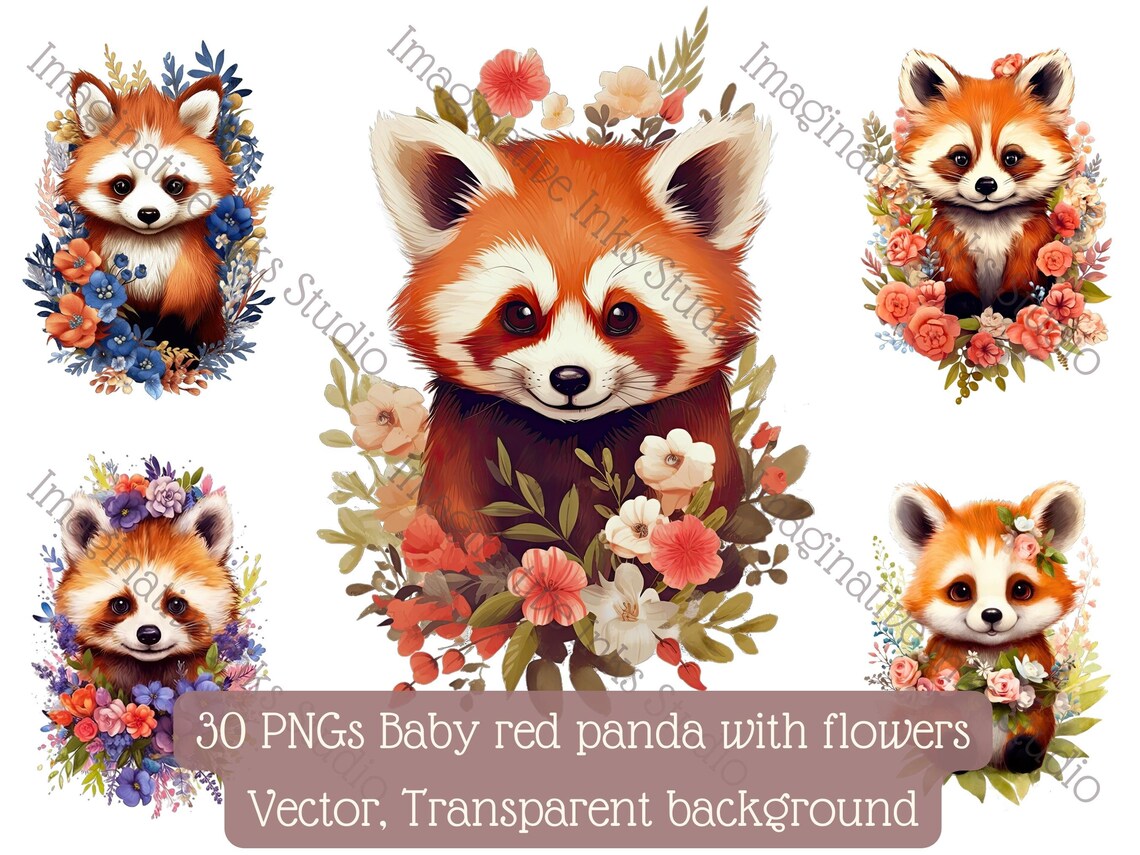 Baby Red Panda Clipart PNG Panda Boho Flower Panda Floral - Etsy