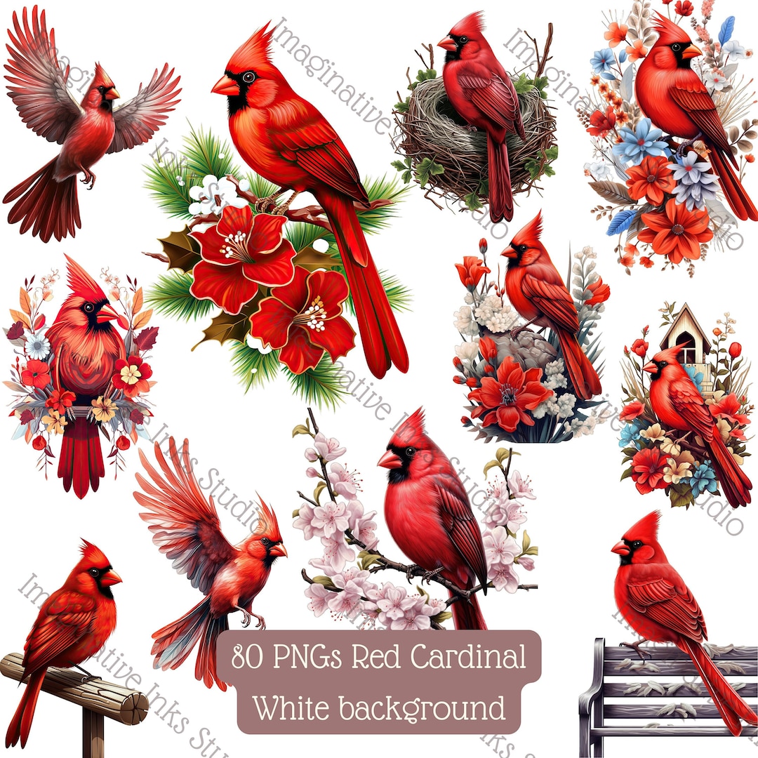 Red Cardinal Clipart PNG Cardinal Bird Boho Flower Red Cardinal ...
