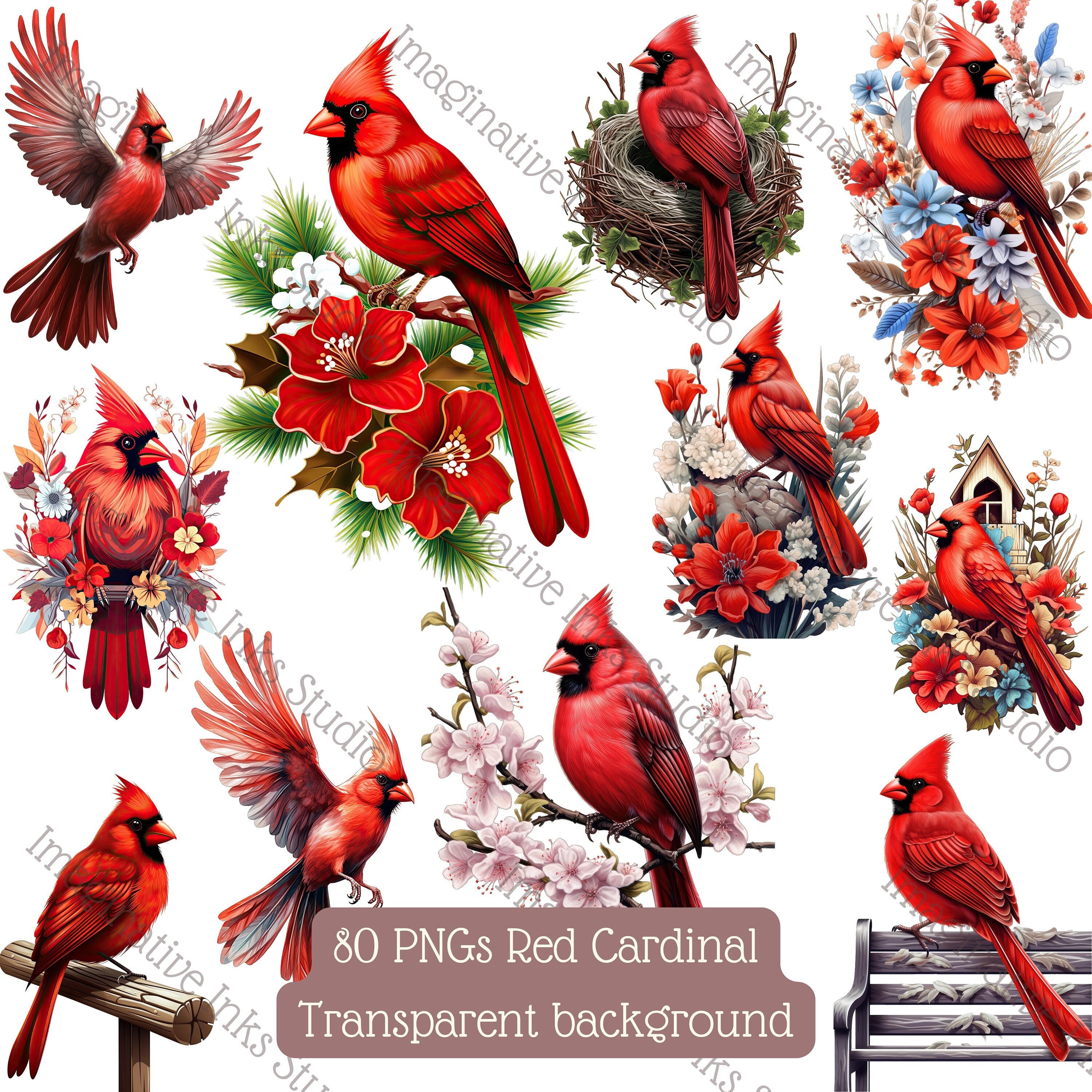 Red Cardinal Clipart PNG Cardinal Bird Boho Flower Red Cardinal ...
