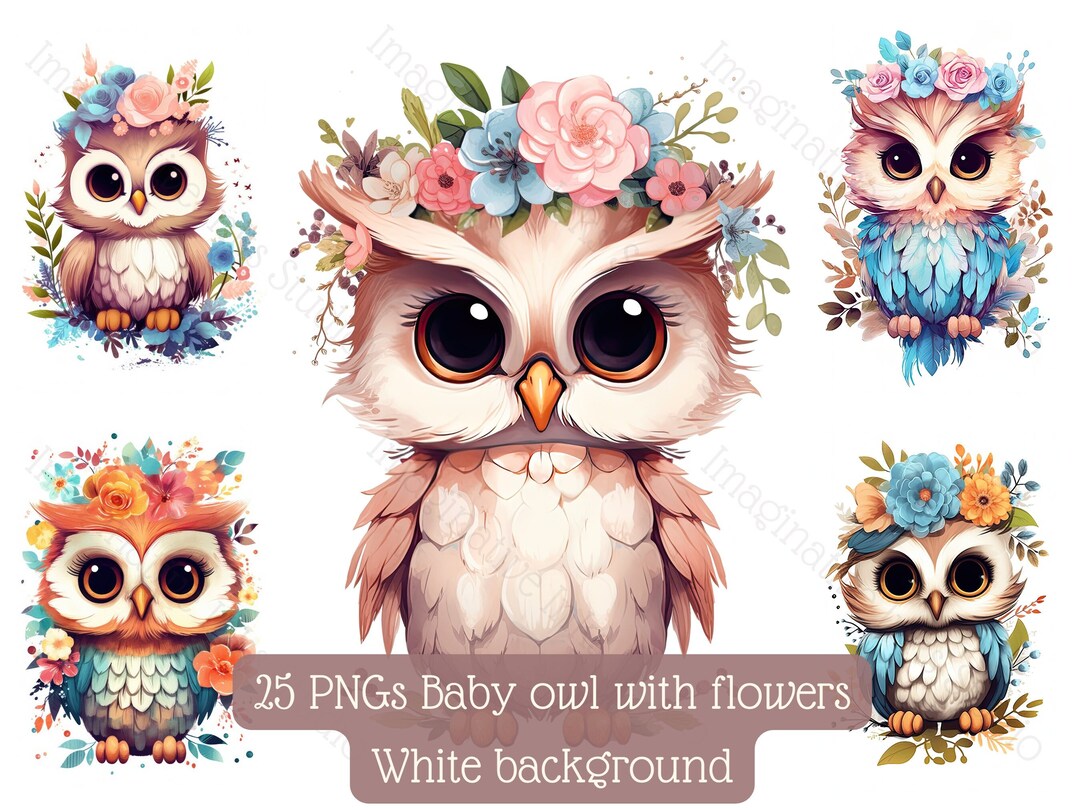 Baby Owl Clipart PNG Superb Owl Boho Flower Bird Wall Art Cute Owl ...