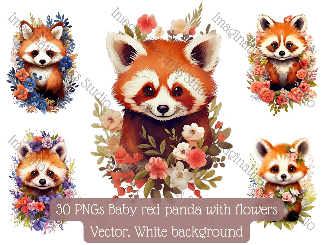Baby Red Panda Clipart PNG Panda Boho Flower Panda Floral Panda Nursery ...