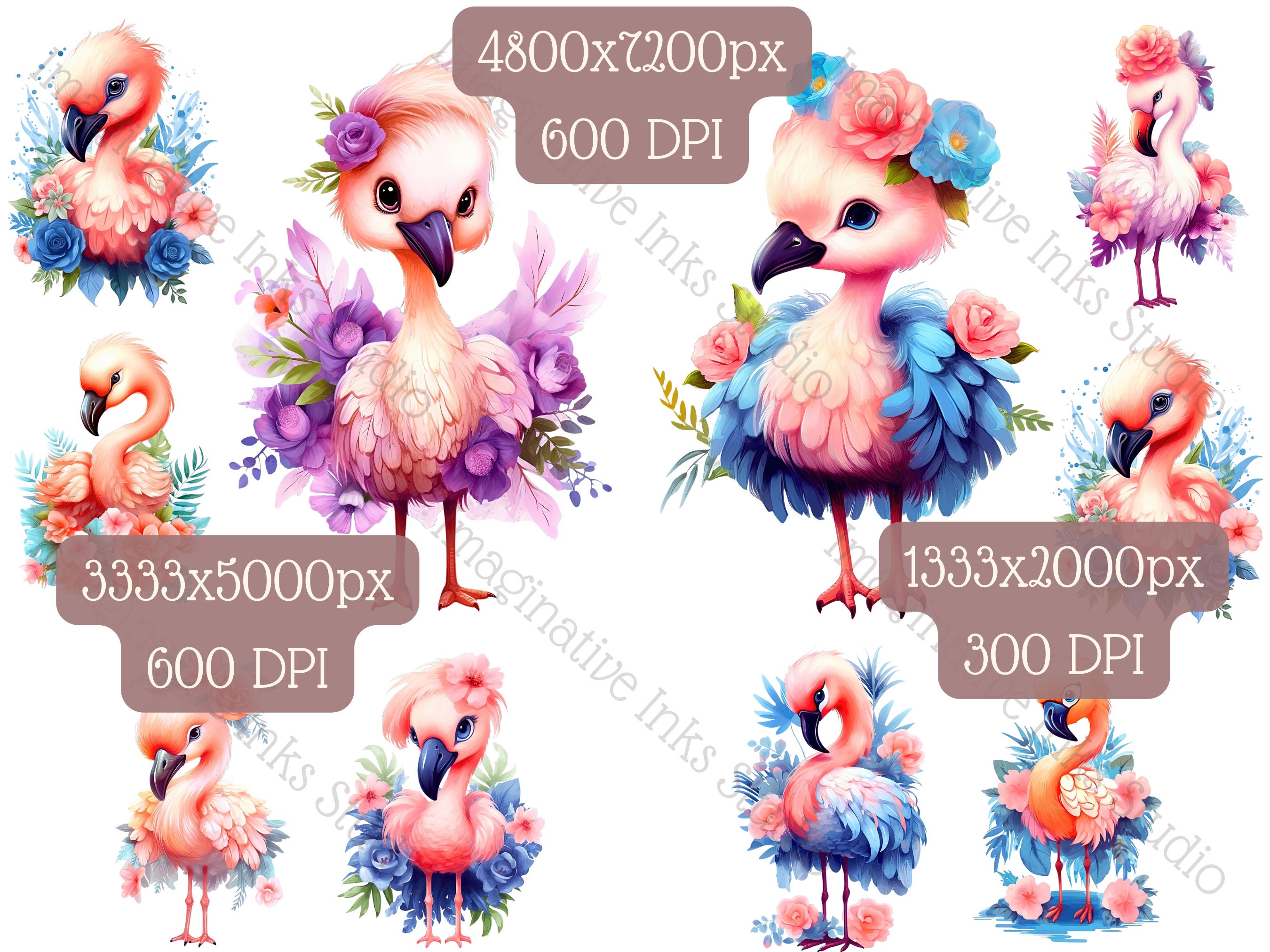 Baby Flamingo Clipart PNG Flamingo Boho Flower Bird Wallart Cute ...