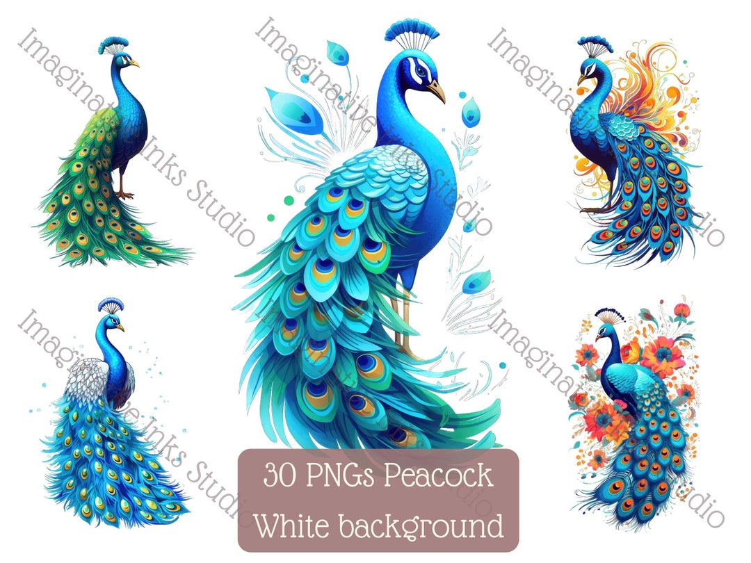 Peacock Clipart PNG Peacock Boho Flower Bird Wall Art Peacock Nursery ...