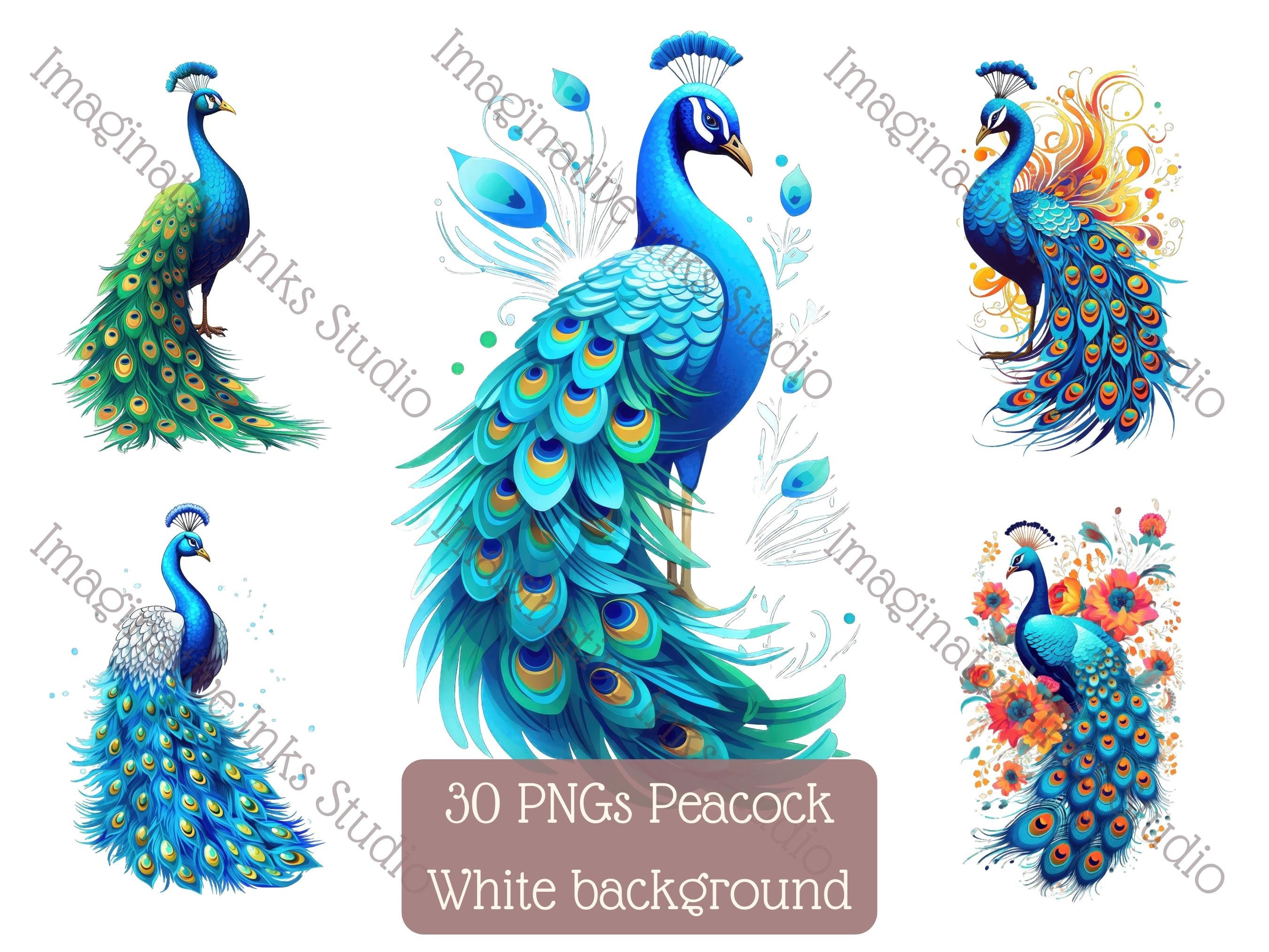 Peacock Clipart PNG Peacock Boho Flower Bird Wall Art Peacock Nursery ...