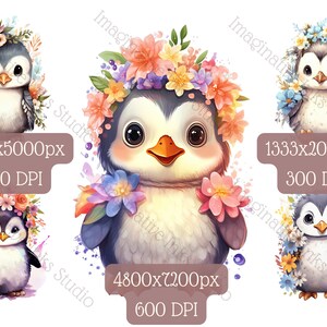 Baby Penguin Clipart PNG Penguin Boho Flower Bird Wall Art Cute Penguin ...