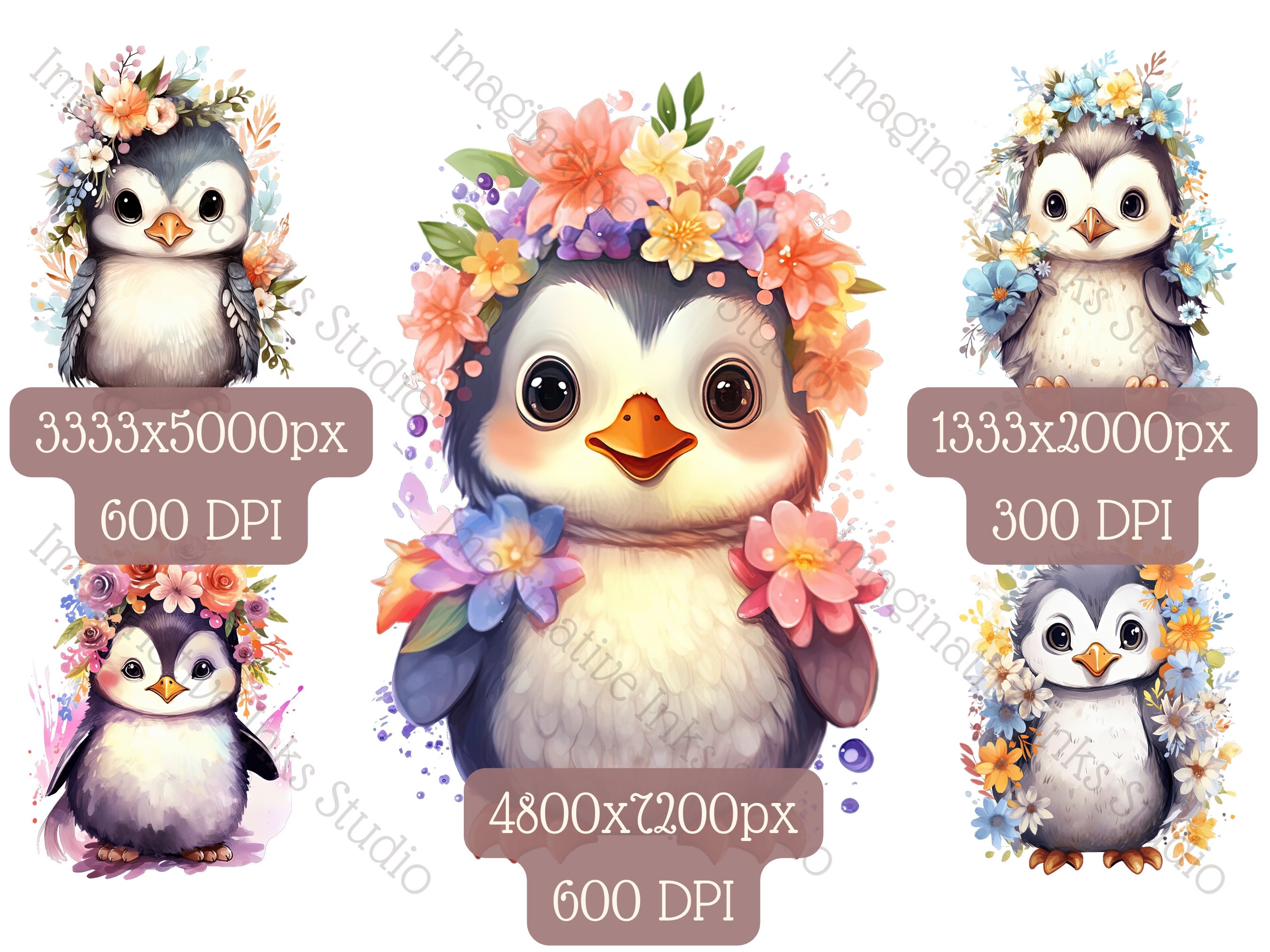 Baby Penguin Clipart PNG Penguin Boho Flower Bird Wall Art Cute Penguin ...