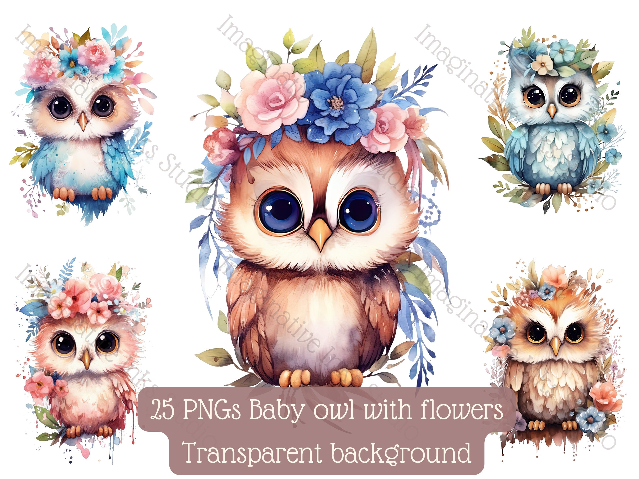 Baby Owl Clipart PNG Superb Owl Boho Flower Bird Wall Art Cute Owl ...