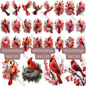 Red Cardinal Clipart PNG Cardinal Bird Boho Flower Red Cardinal ...
