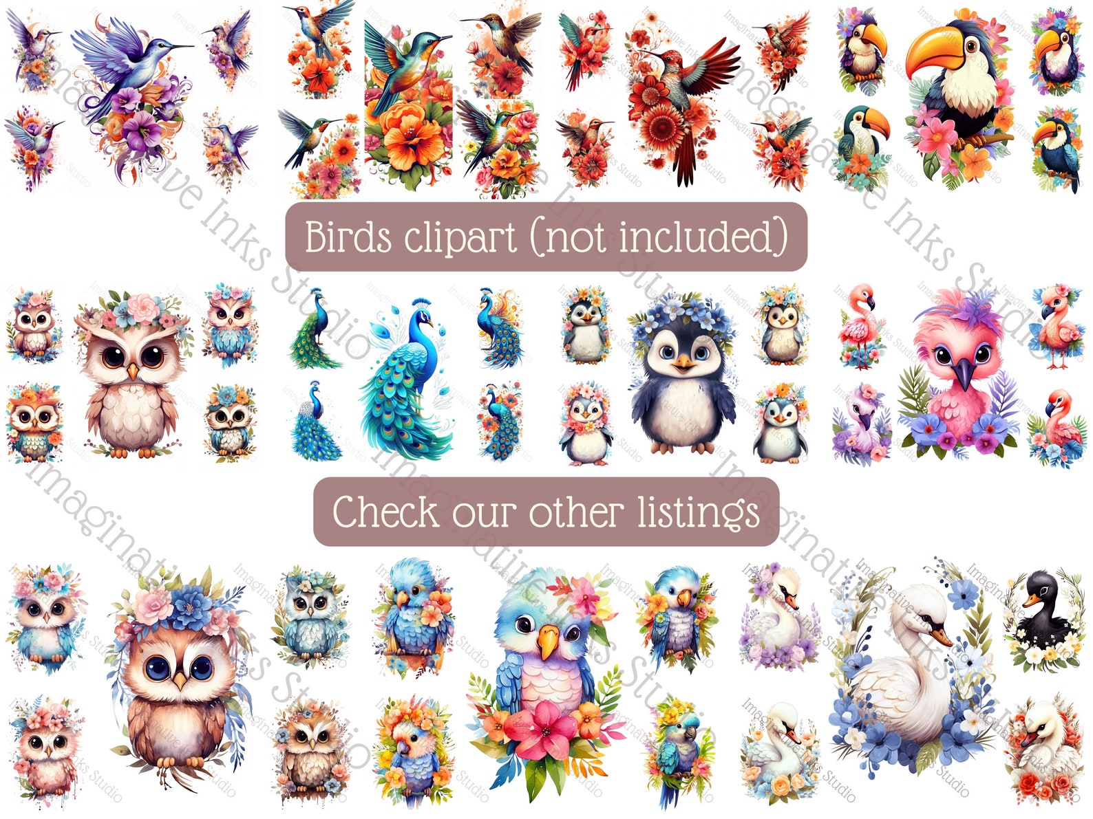 Baby Penguin Clipart PNG Penguin Boho Flower Bird Wall Art Cute Penguin ...