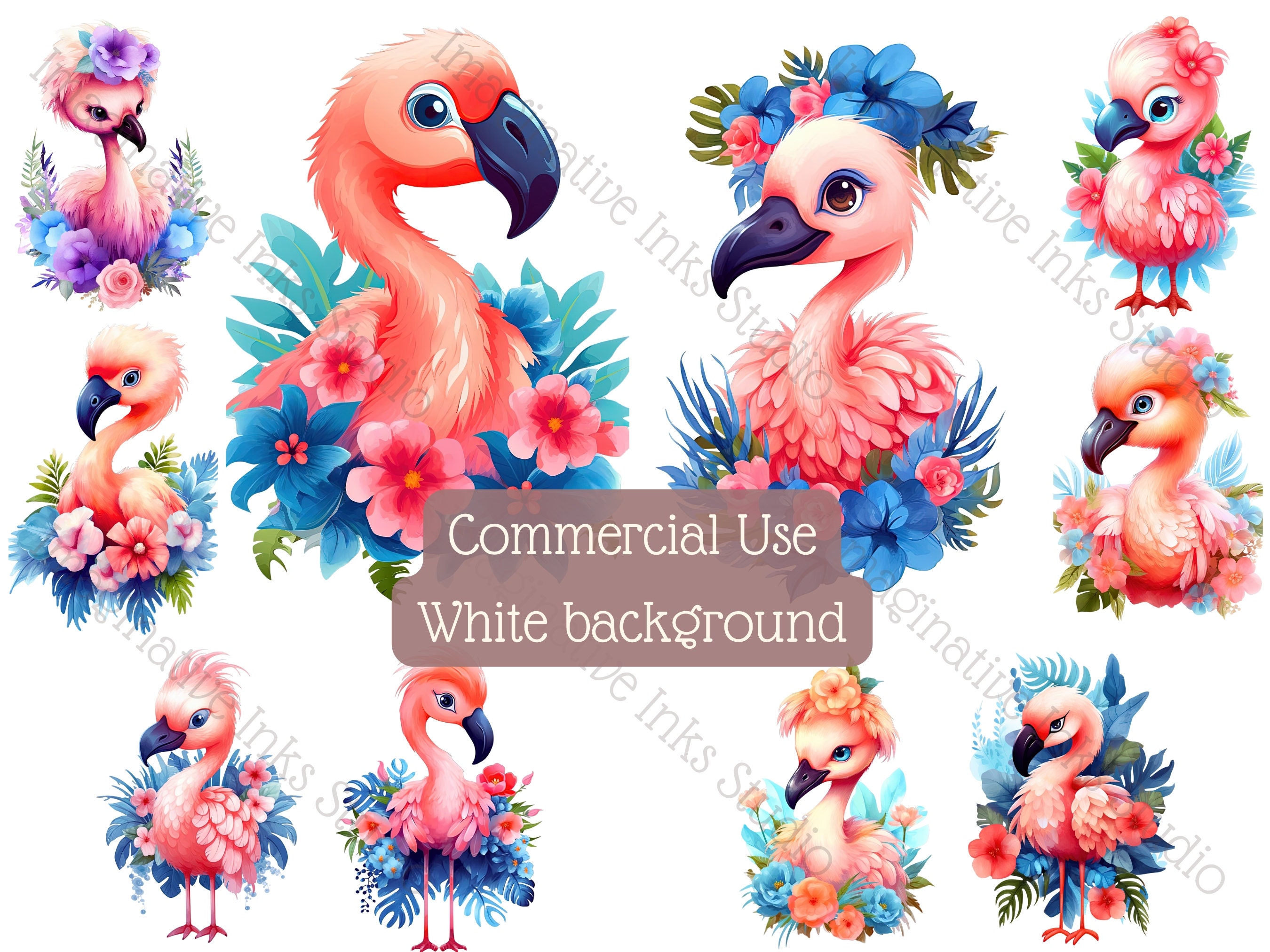 Baby Flamingo Clipart PNG Flamingo Boho Flower Bird Wallart Cute ...