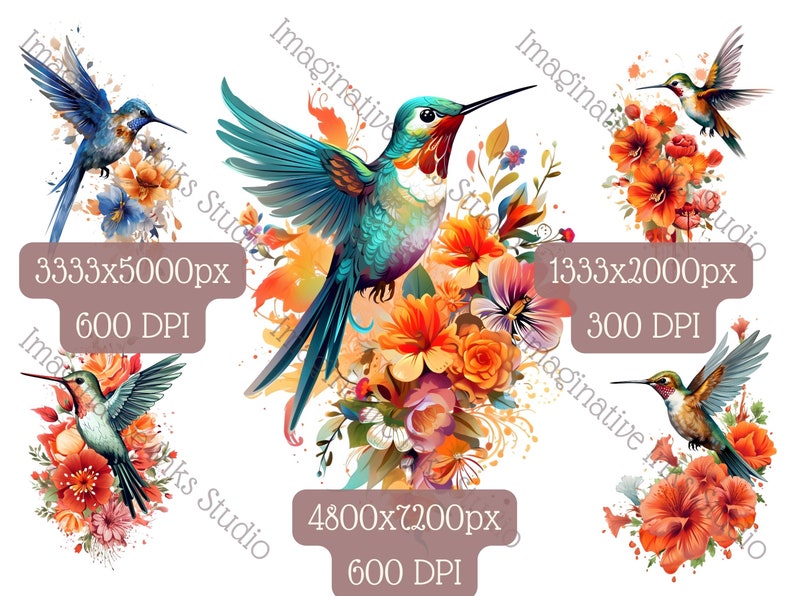 Hummingbird Clipart PNG Hummingbird Boho Flower Bird Wall Art ...