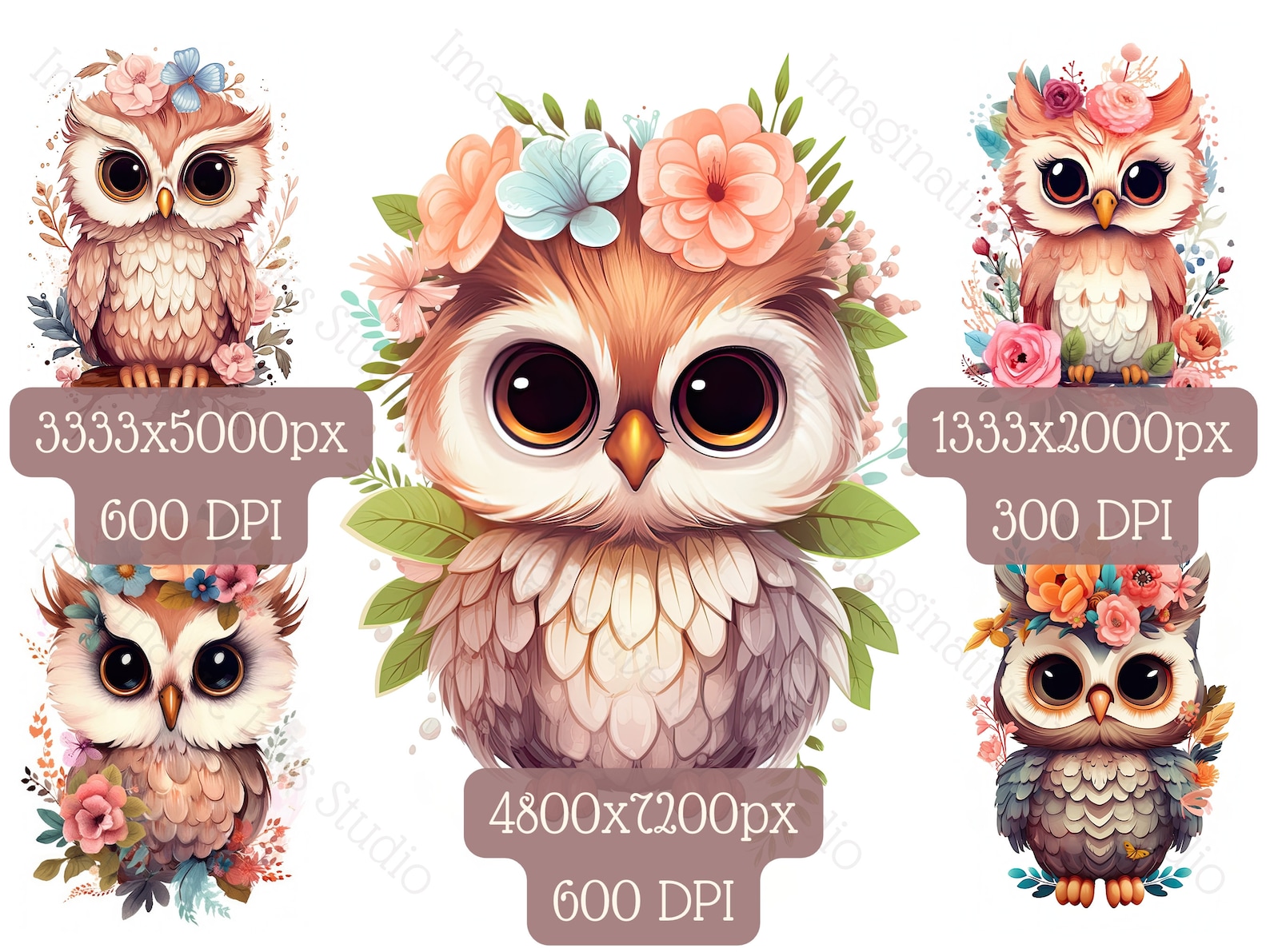 Baby Owl Clipart PNG Superb Owl Boho Flower Bird Wall Art Cute Owl ...