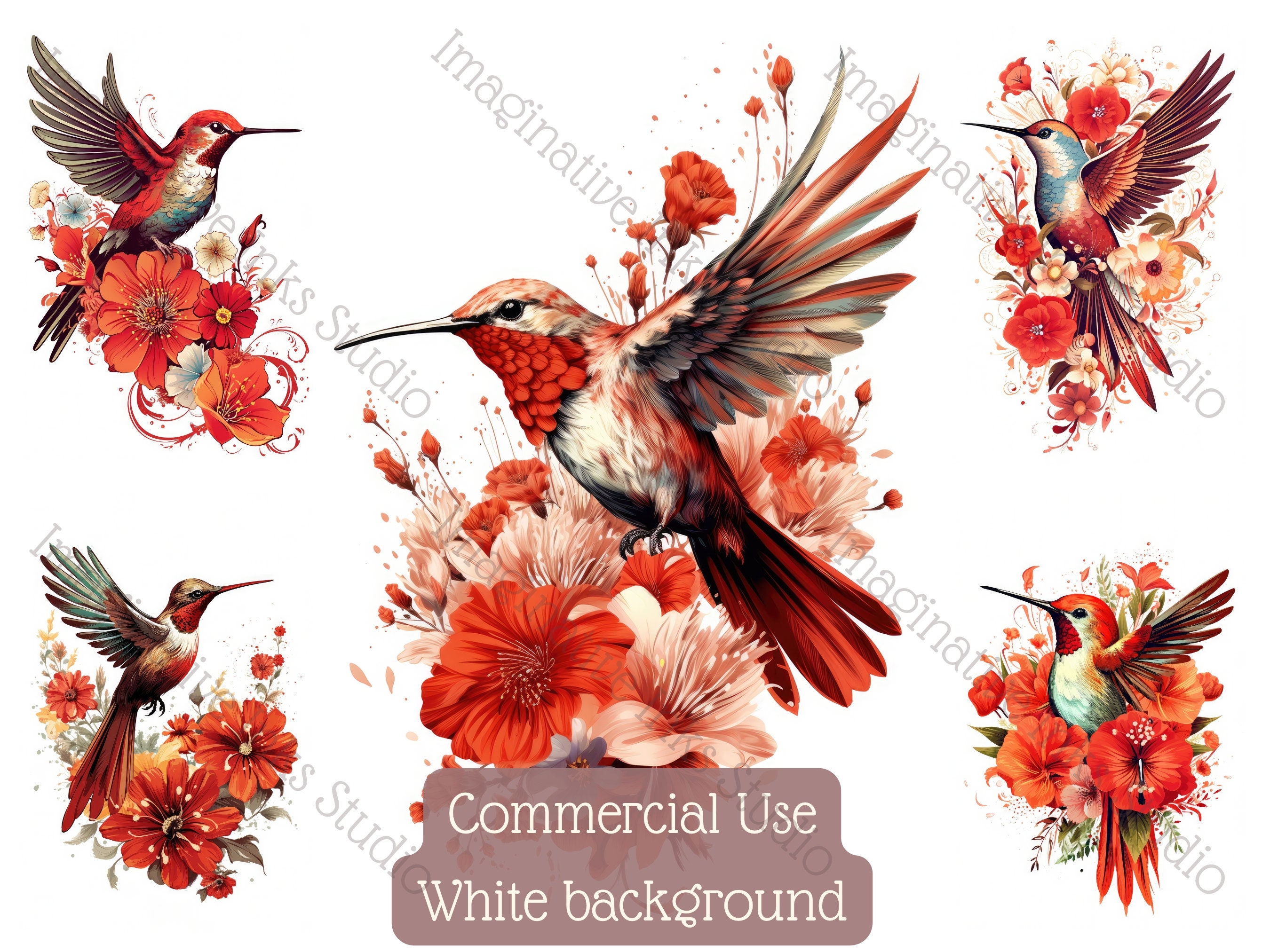 Hummingbird Clipart PNG Red Hummingbird Boho Flower Bird Wall Art ...