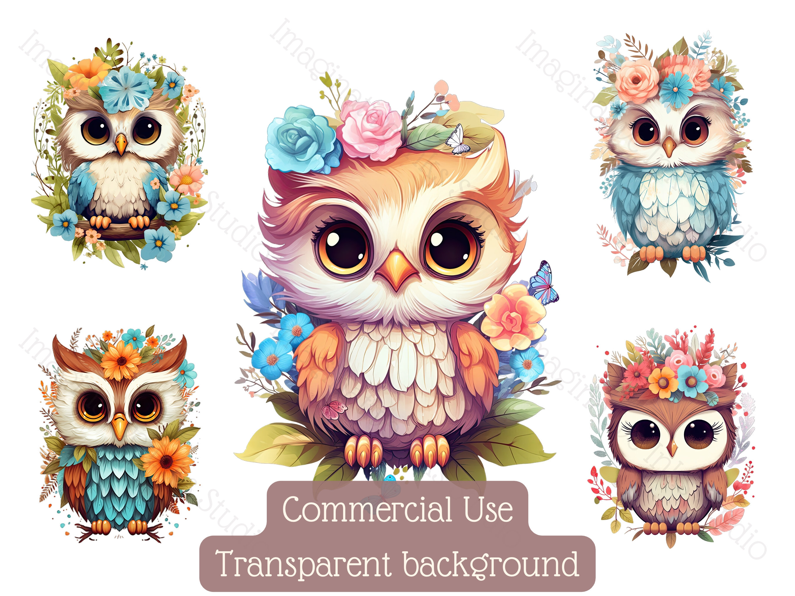 Baby Owl Clipart 25 High-quality PNG With Transparent Background Vector ...