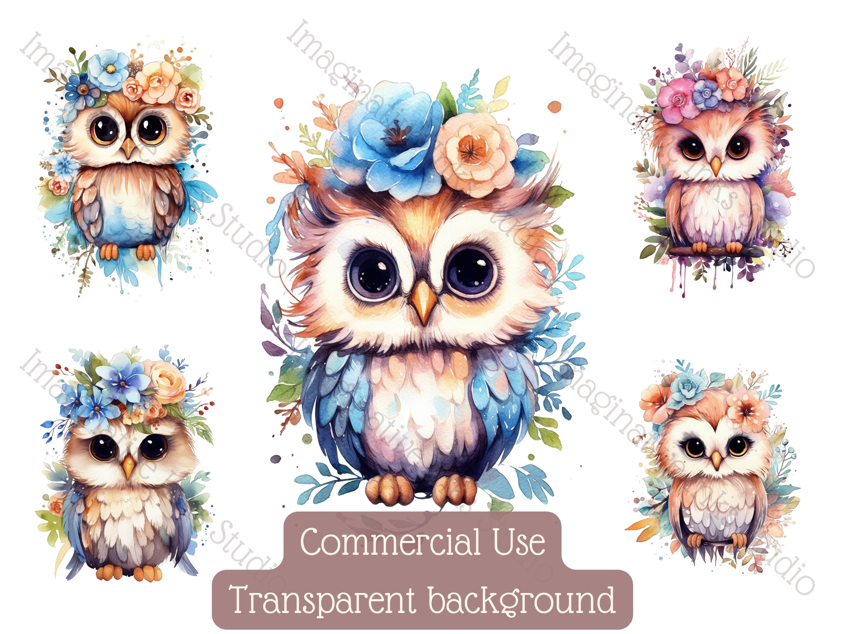 Baby Owl Clipart PNG Superb Owl Boho Flower Bird Wall Art Cute Owl ...