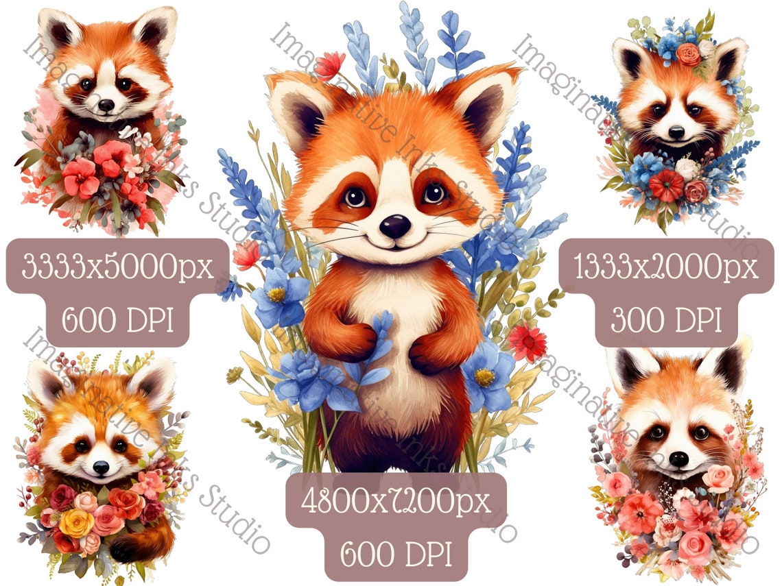 Baby Red Panda Clipart PNG Panda Boho Flower Panda Floral - Etsy