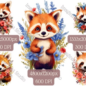 Baby Red Panda Clipart PNG Panda Boho Flower Panda Floral Panda Nursery ...