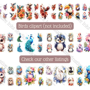 Red Cardinal Clipart PNG Cardinal Bird Boho Flower Red Cardinal ...