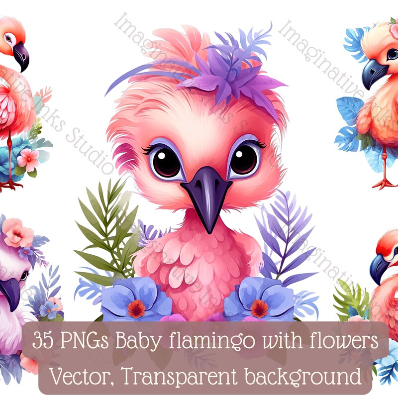 Baby Flamingo - Etsy