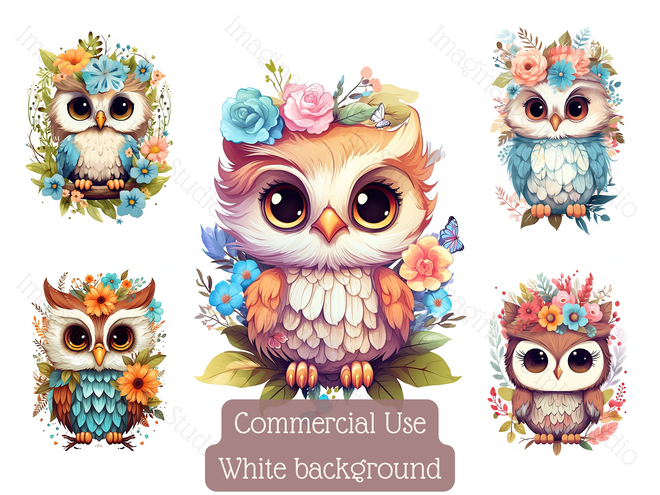 Baby Owl Clipart PNG Superb Owl Boho Flower Bird Wall Art Cute Owl ...