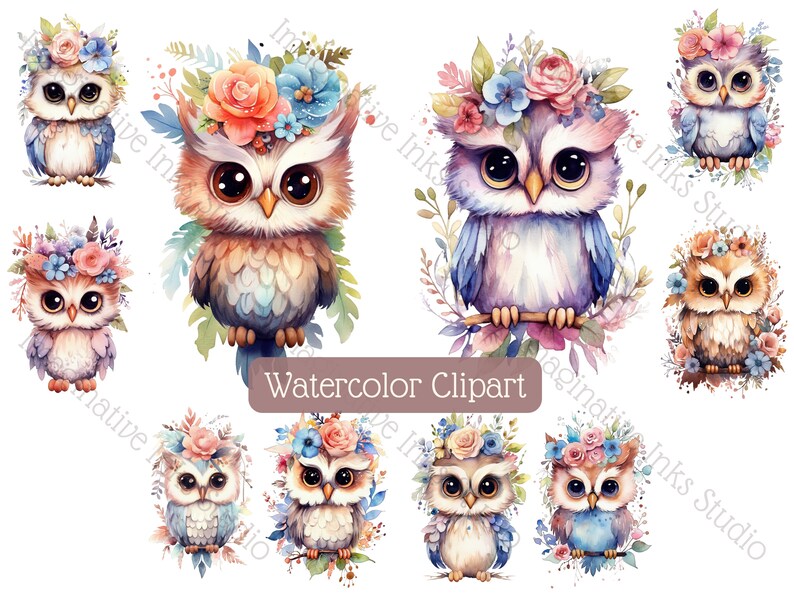 Baby Owl Clipart PNG Superb Owl Boho Flower Bird Wall Art Cute Owl Nursery Decor Owl Babyshower ...