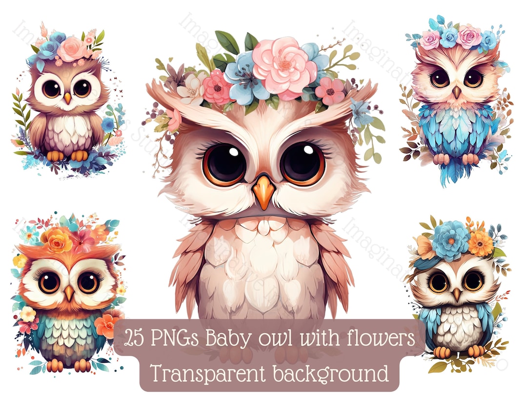 Baby Owl Clipart 25 High-quality PNG With Transparent Background Vector ...