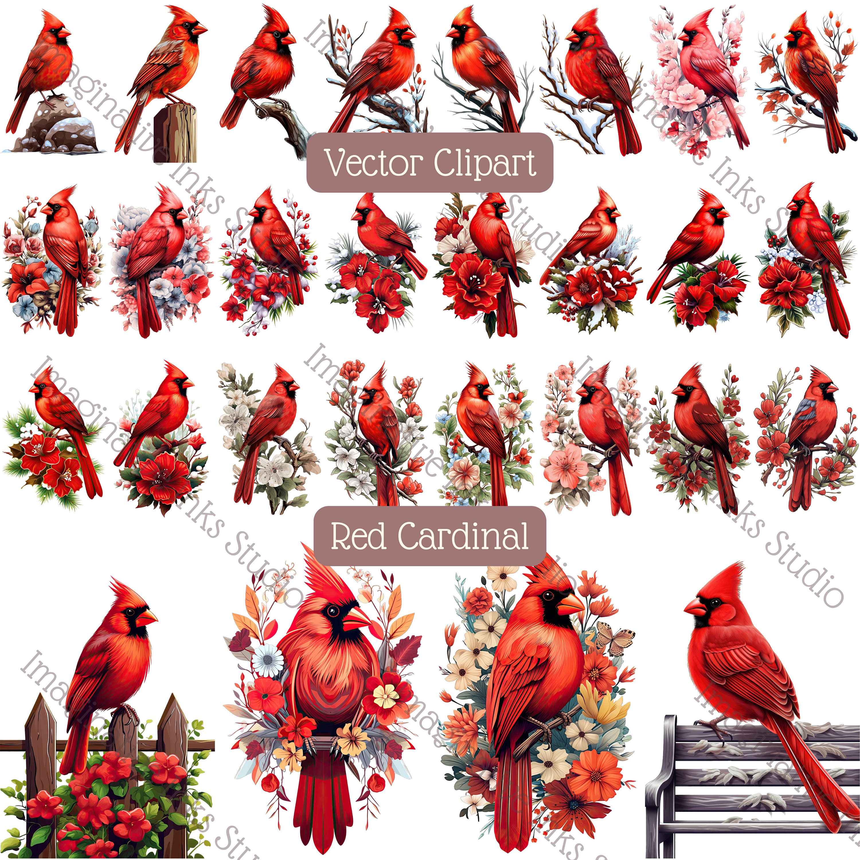 Red Cardinal Clipart PNG Cardinal Bird Boho Flower Red Cardinal ...
