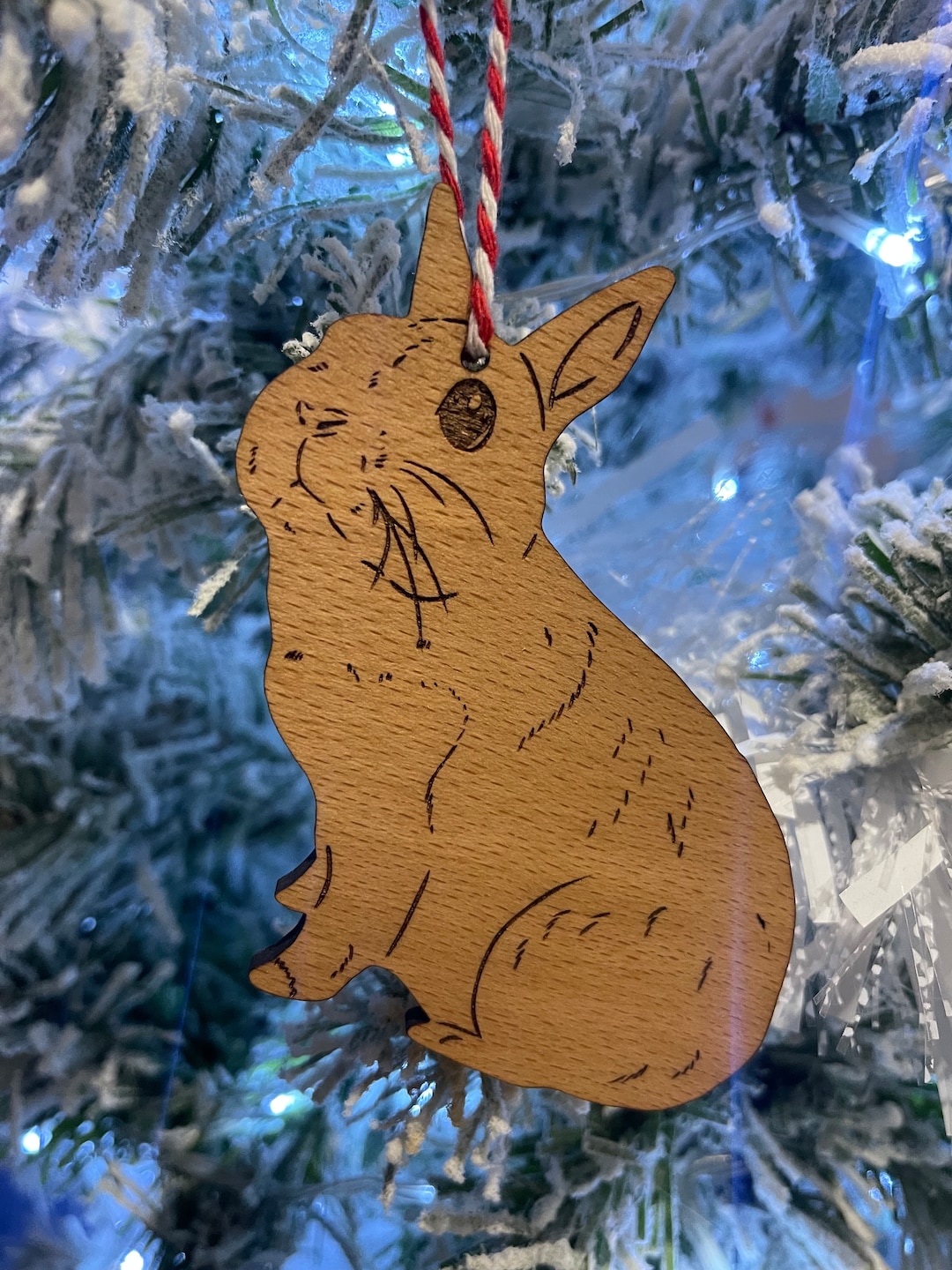 Netherland Dwarf Rabbit Hanging Wooden Decoration - Etsy