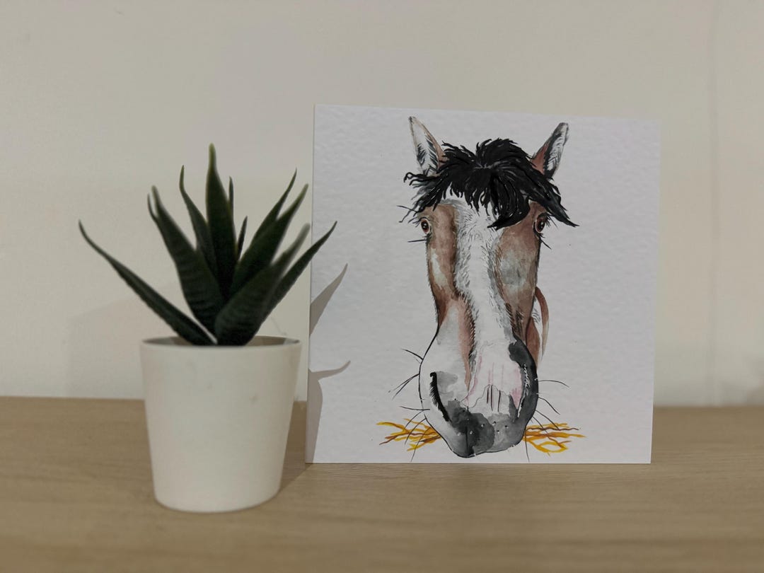 Cheeky Pony, Cob, Coloured Pony, Greetings Card - Etsy