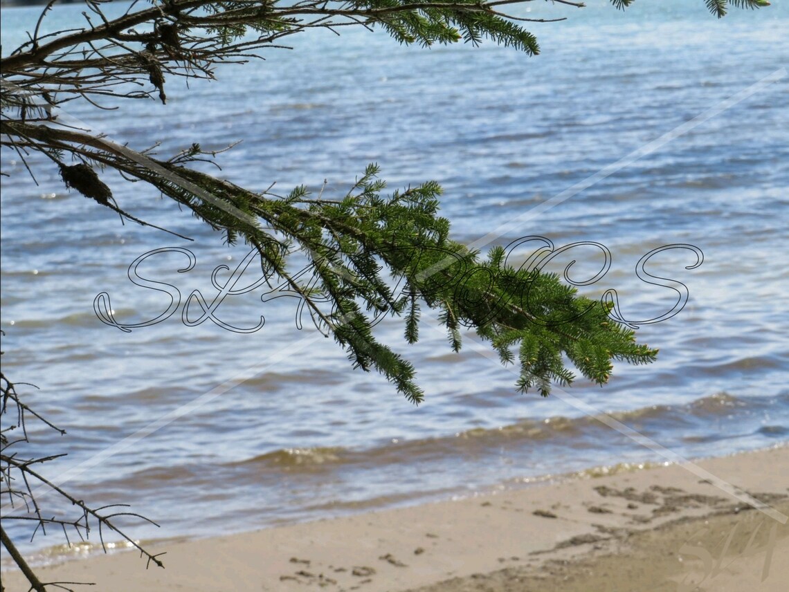 Branch X Beach Wallpaper - Etsy
