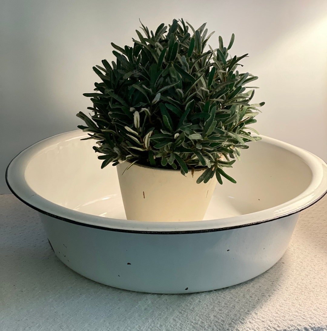 Vintage Large Enamel Ware Basin |farmhouse Wash Bowl White With Black ...