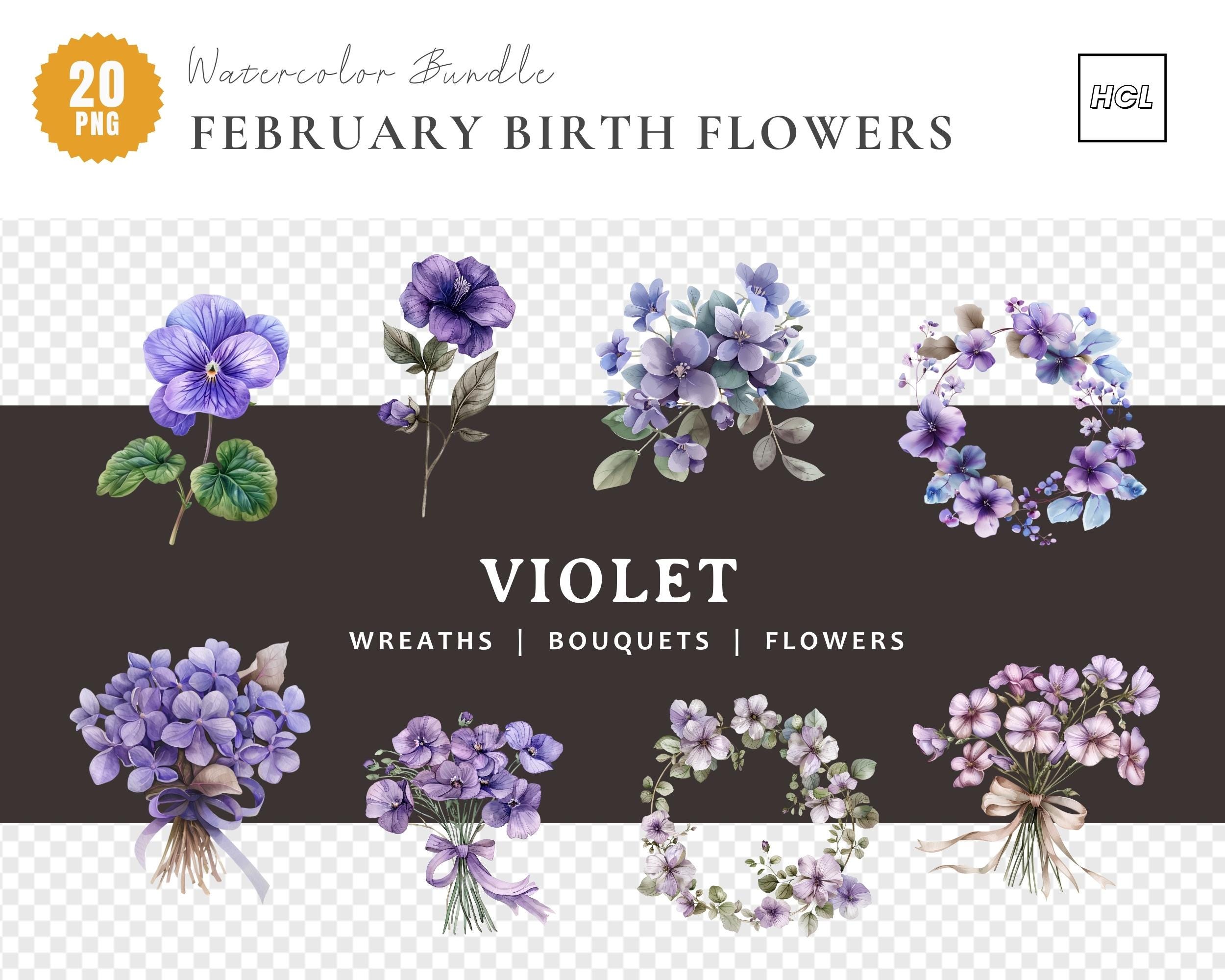 Birth Month Flowers, Violet Florals PNG, Watercolor Flowers, Birth ...