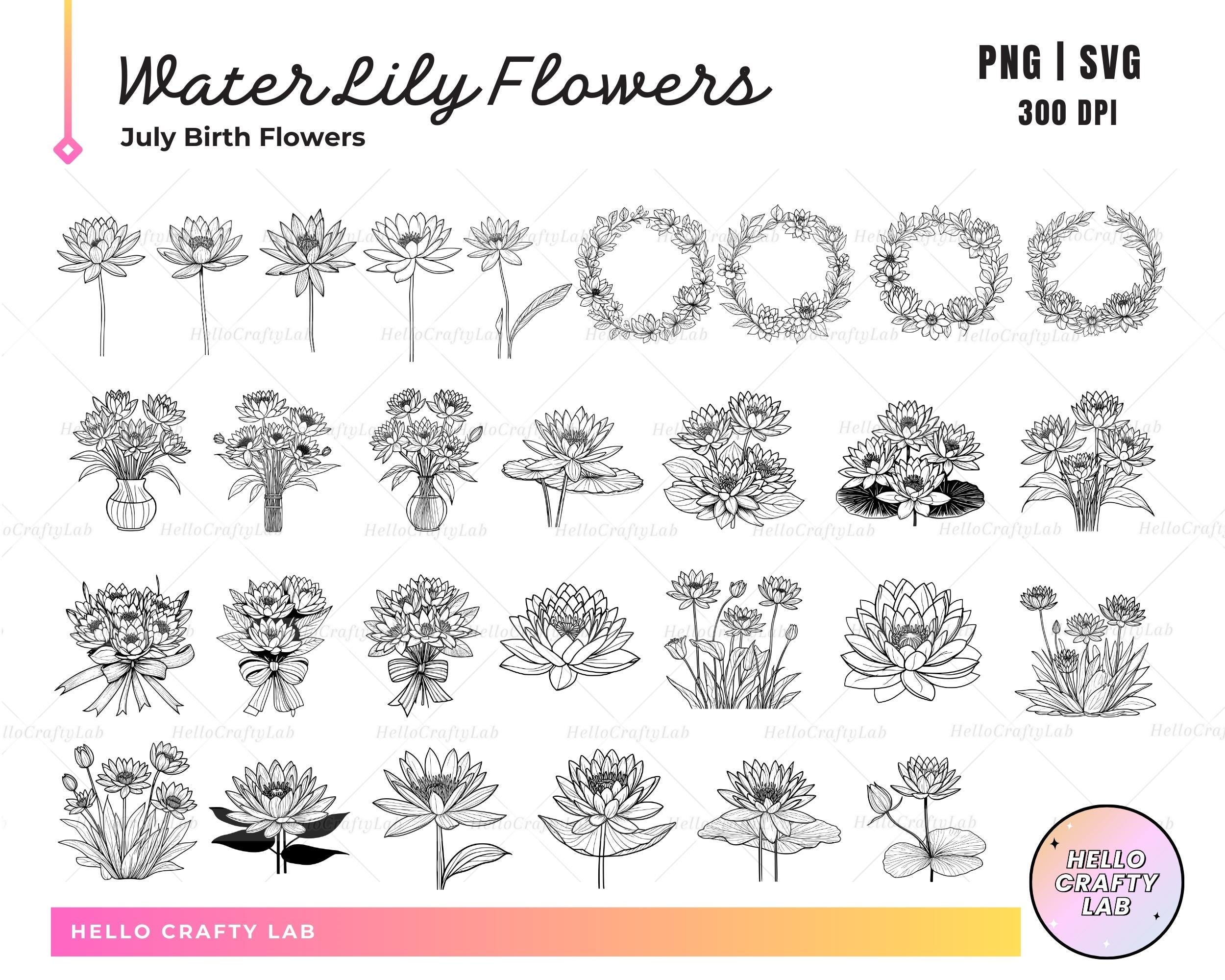 Birth Flowers SVG, Water Lily Birth SVG, Minimalist Floral, Birth ...