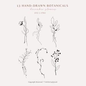 December Birth Month SVG Lineart Botanical Svg December Birth Floral ...