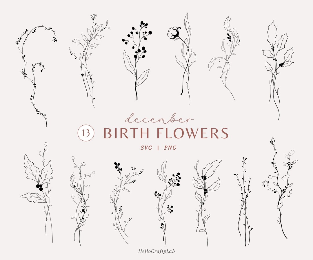 December Birth Month SVG Lineart Botanical Svg December Birth Floral ...