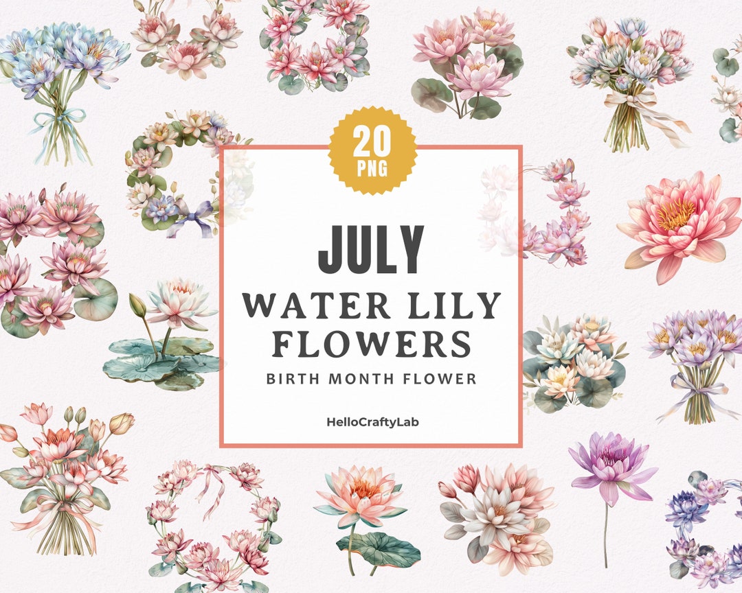 Birth Month Flowers, July Flowers, Waterlily Watercolor Flowers, PNG ...