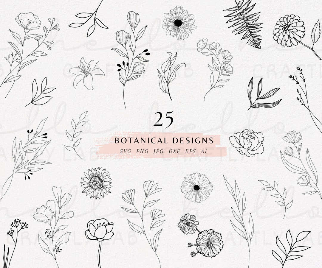 Botanical Svg Bundle, Minimalist Floral Leaves & Branches Svg, Flower ...