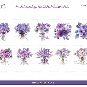 Birth Month Flowers, Violet Florals PNG, Watercolor Flowers, Birth ...