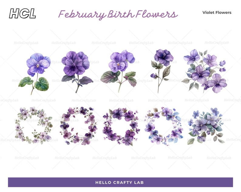 Birth Month Flowers, Violet Florals PNG, Watercolor Flowers, Birth ...
