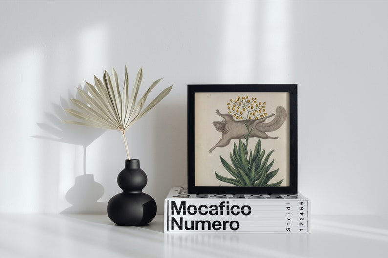 Squirrels & Other Animals Studies Set of 10, 6x9 Printables, Antique ...