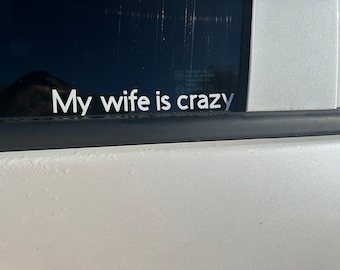 Fast as F Boi Funny Tiktok Meme Car Vinyl Decal Sticker - Etsy